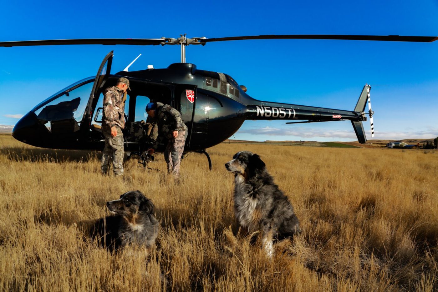 Why the Bell 505 is a Must-Have For this Property and Real-Estate ...